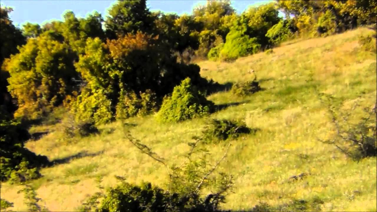 ΚΥΝΗΓΙ ΛΑΓΟΥ.Ωραιο ξεφωλιασμα - YouTube