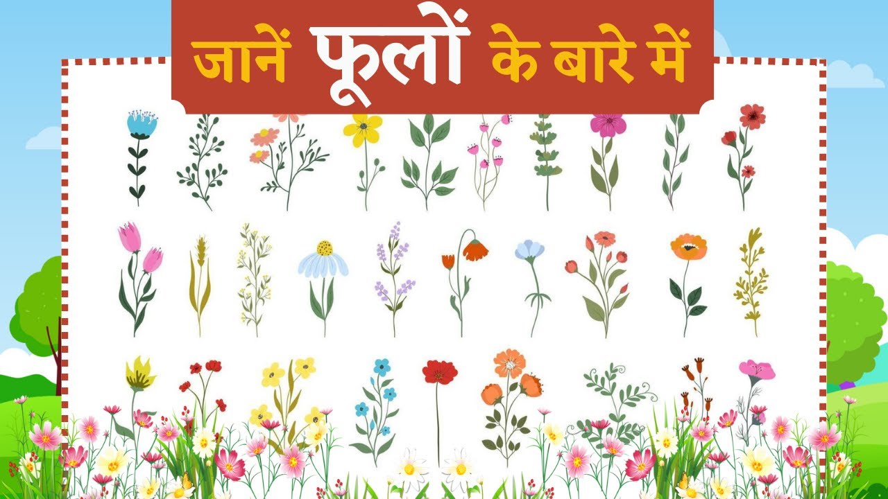 Learn about flowers in Hindi | सीखें फूलों के बारे में हिन्दी में ...