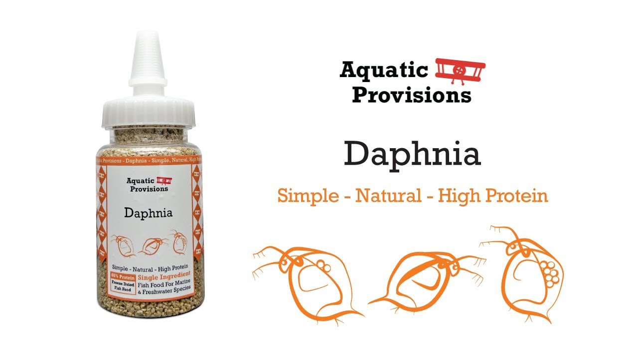 Aquatic Provisions Freeze Dried Daphnia Fish Food Product Highlight ...
