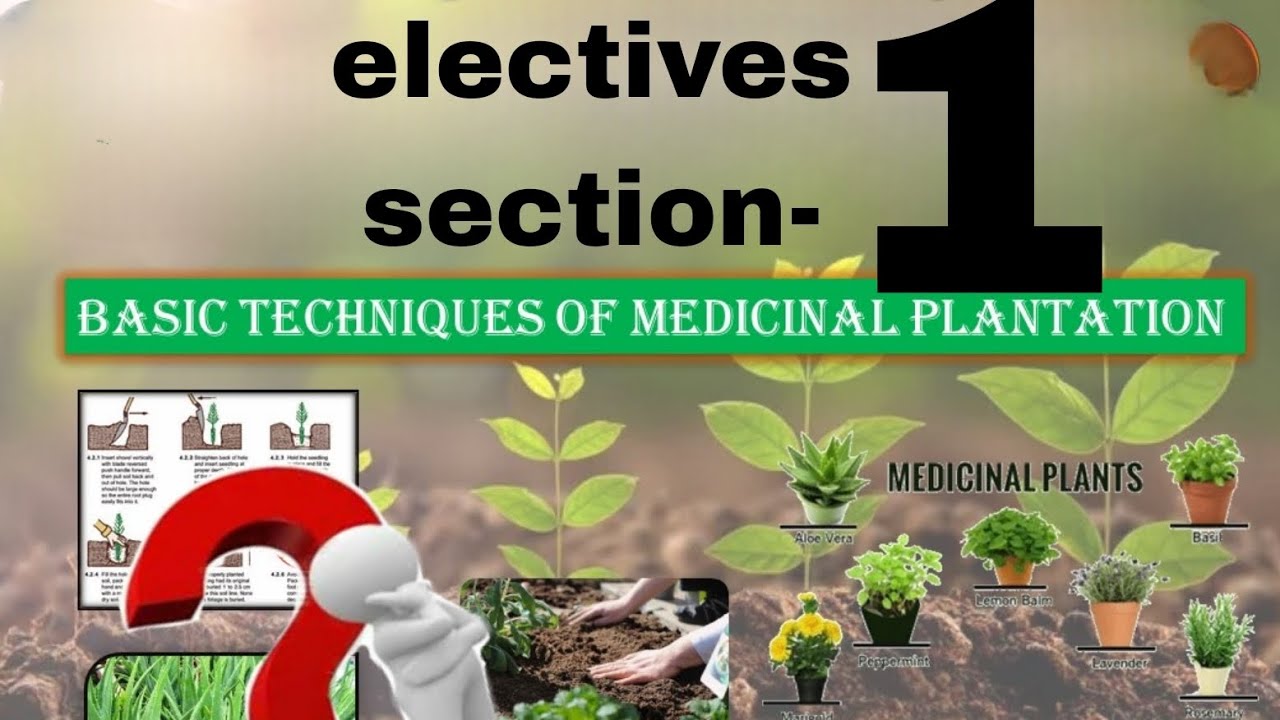 #section 1 electives #answers medical plantation #solution #ncism # ...