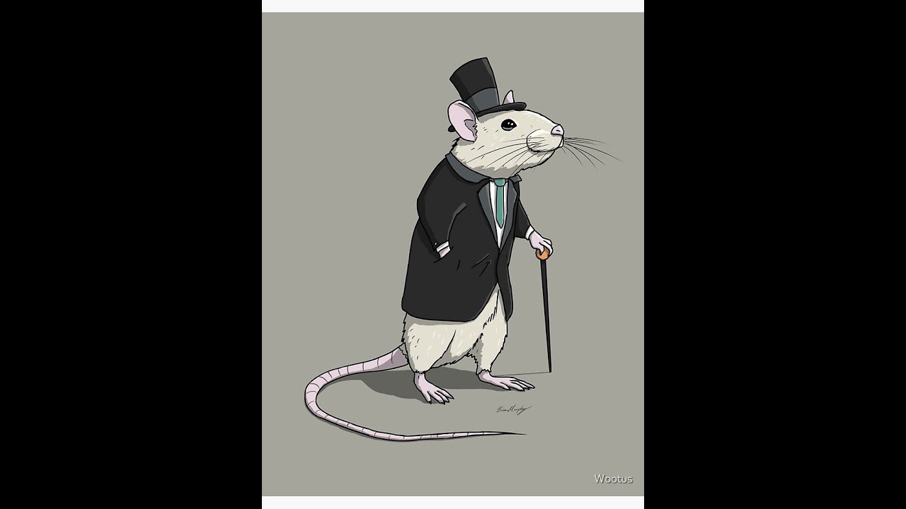 Horizontally Spinning Rat explains Differential equations (milestone 6 ...