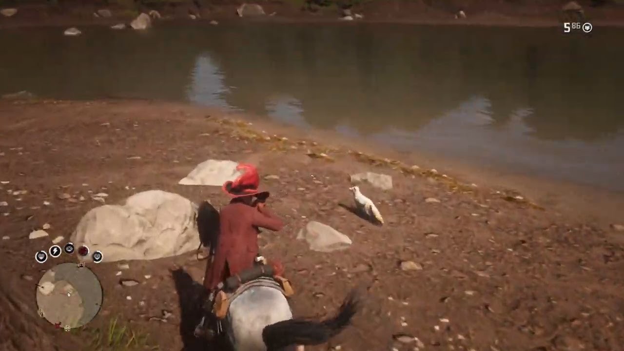 Red Dead Online - Hunting the Legendary Ota Fox - YouTube