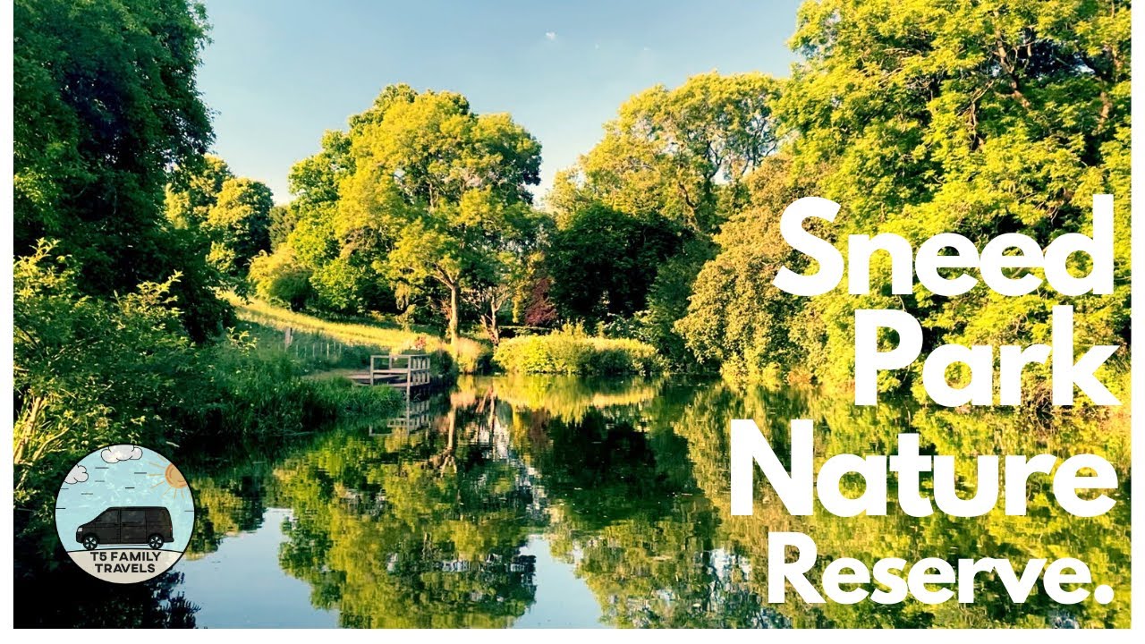 A Trip To Sneed Park Nature Reserve | Beauty in the heart of the city ...