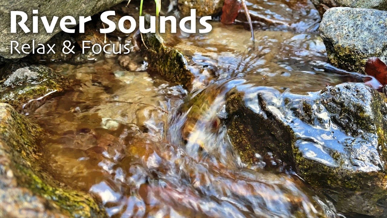 River Sounds 1 Hour - 川の音 água agua реки 물소리 air 流水聲 su l'eau น้ำไหล ...