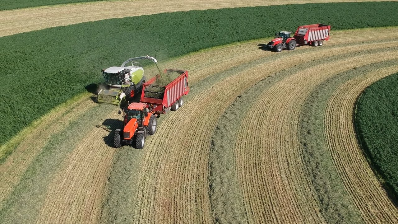 Spring Forage Harvest Begins | 10th Generation Dairyman | The Content Farm