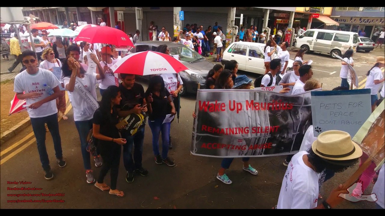 2016-11-14 - United for Strays - Mauritius Protest against Animal ...