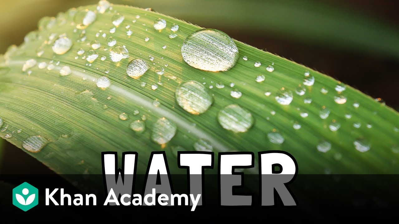 Physical properties of water | Middle school chemistry | Khan Academy ...