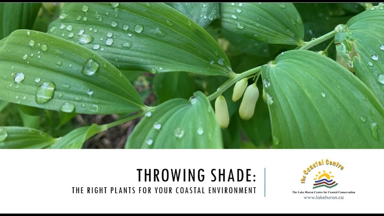 Webinar - Throwing Shade: The Right Plants for Your Coastal Environment ...