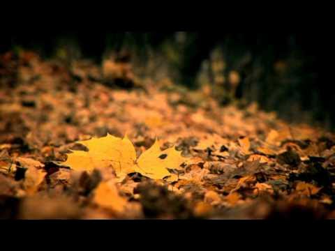 Бумбокс - Вахтерам - YouTube