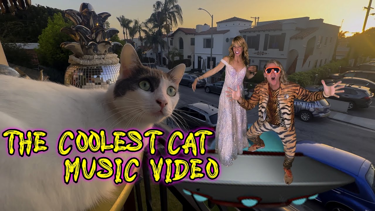 Galactivators - The Coolest Cat (Official Music Video) - YouTube