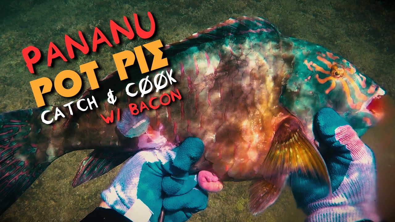PANANU {ParrotFish} POT PIE w/BACON - Catch and Cook - Spearfishing ...
