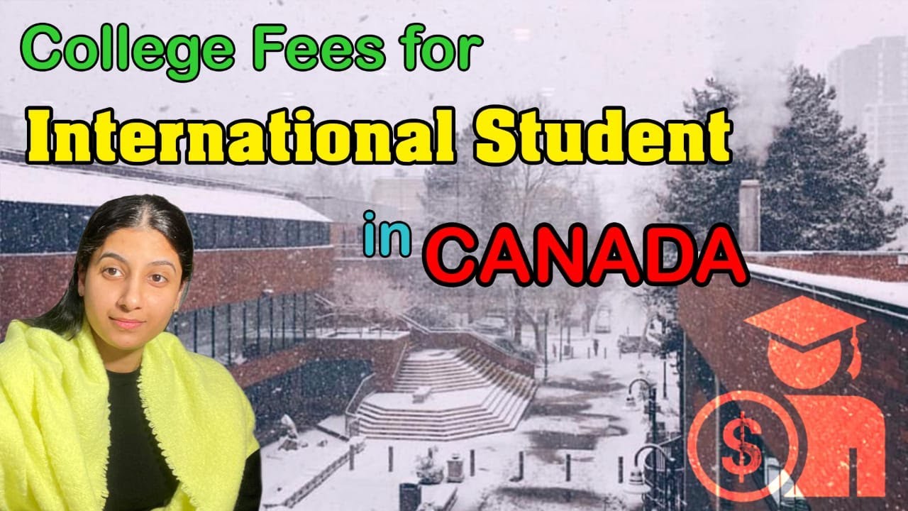 College Fees For International Students WITH PROOF My College Fees college-fees-for-international-students-with-proof-my-college-fees