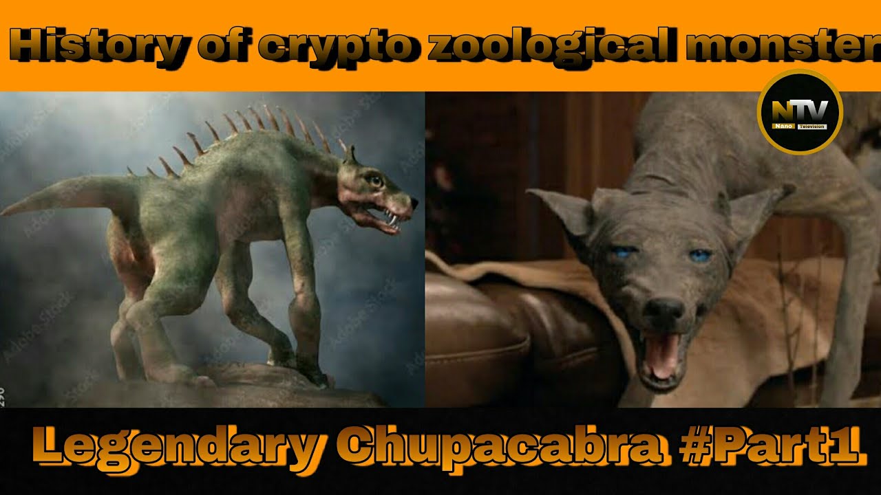 Part 1 Chupacabra the crypto zoological monster real story|| full story ...