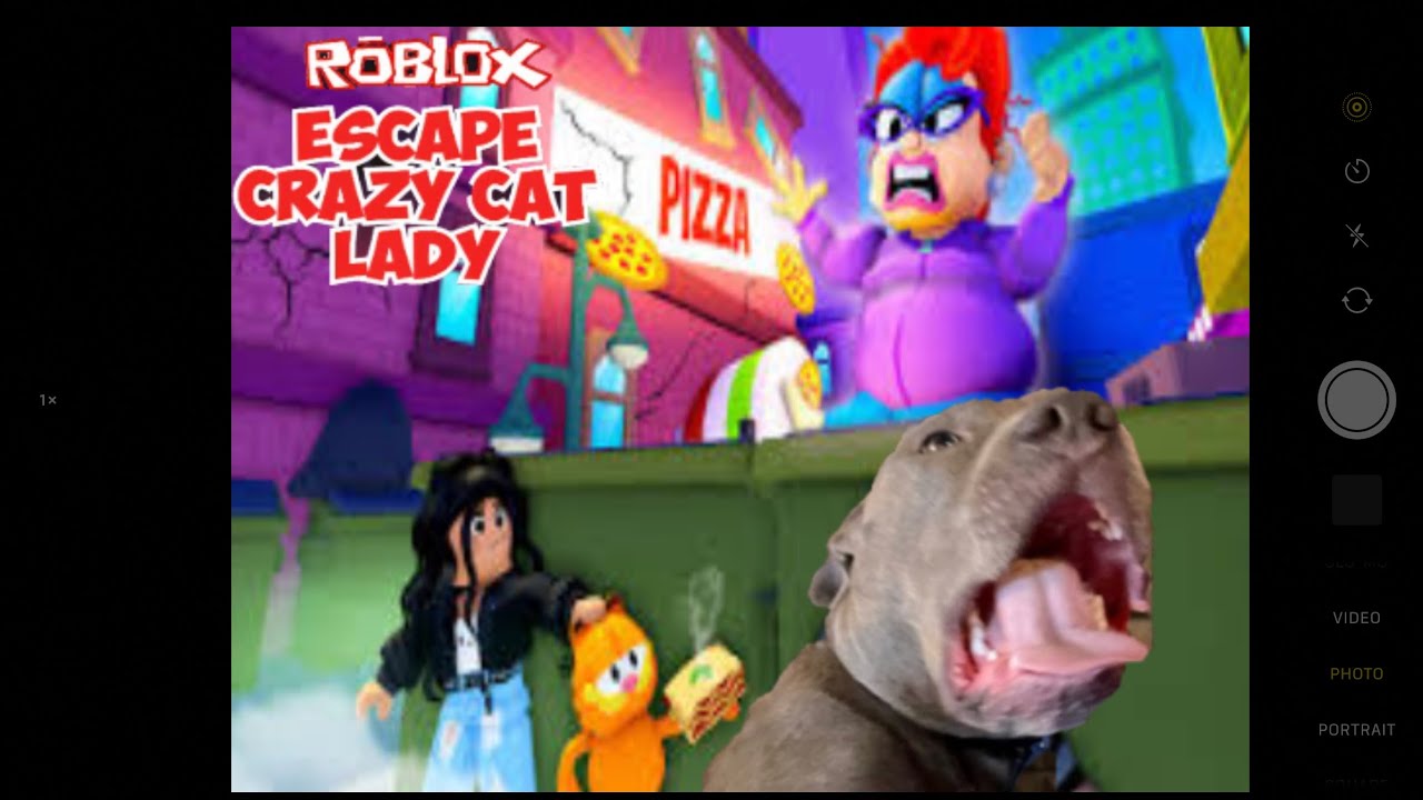 What did she CALL me!?!? Can Meatball and Garfield Escape the Crazy Cat ...