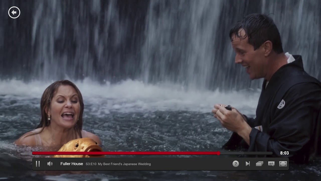 Fuller house S3E10, 100 year old gold fish ate wedding ring - YouTube