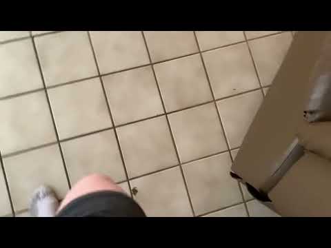 Dr Wai in the Scriptures No Words (1996)