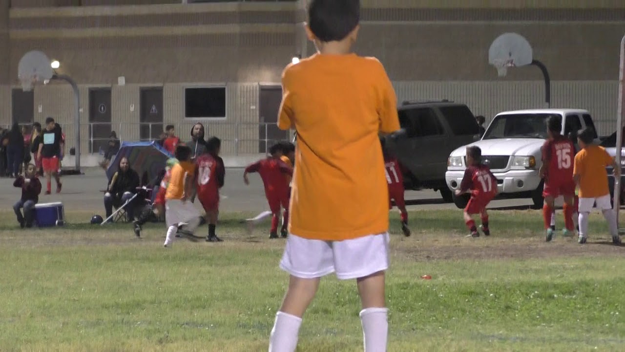 INESA, UN ESTILO DE VIDA - YouTube