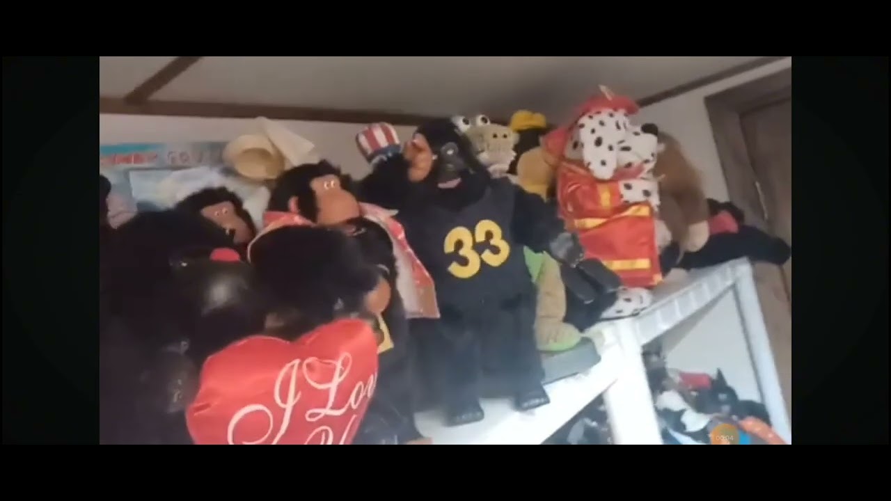 gemmy items falling from the top shelf caught on camera - YouTube