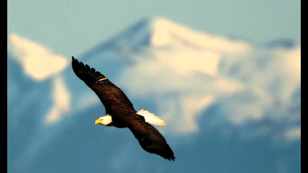 Eagle Breath Healing meditation - YouTube