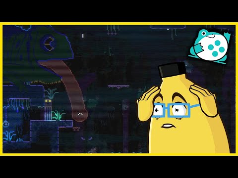 Animal Well: Dunkey's Masterpiece? A Deep Dive