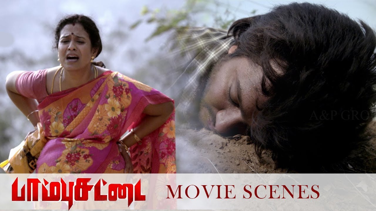 Paambhu Sattai Movie Scenes | Bobby Simha | Keerthi | Rajendran - YouTube