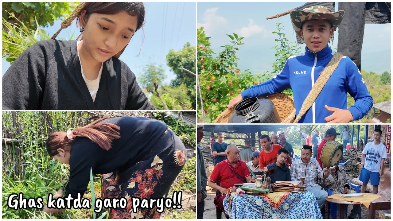 GHASS KATNA GAU AAEPUGEY!🤕 ~ Garo paryo!! ~ Aargum Day 1 || it’s me ...