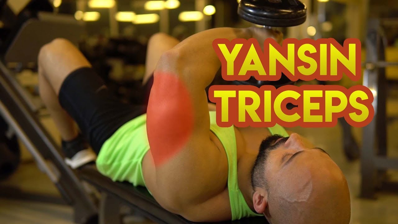 Lying Dumbbell Kickback - Arka Kollar Yansın ( Triceps Egzersiz ...