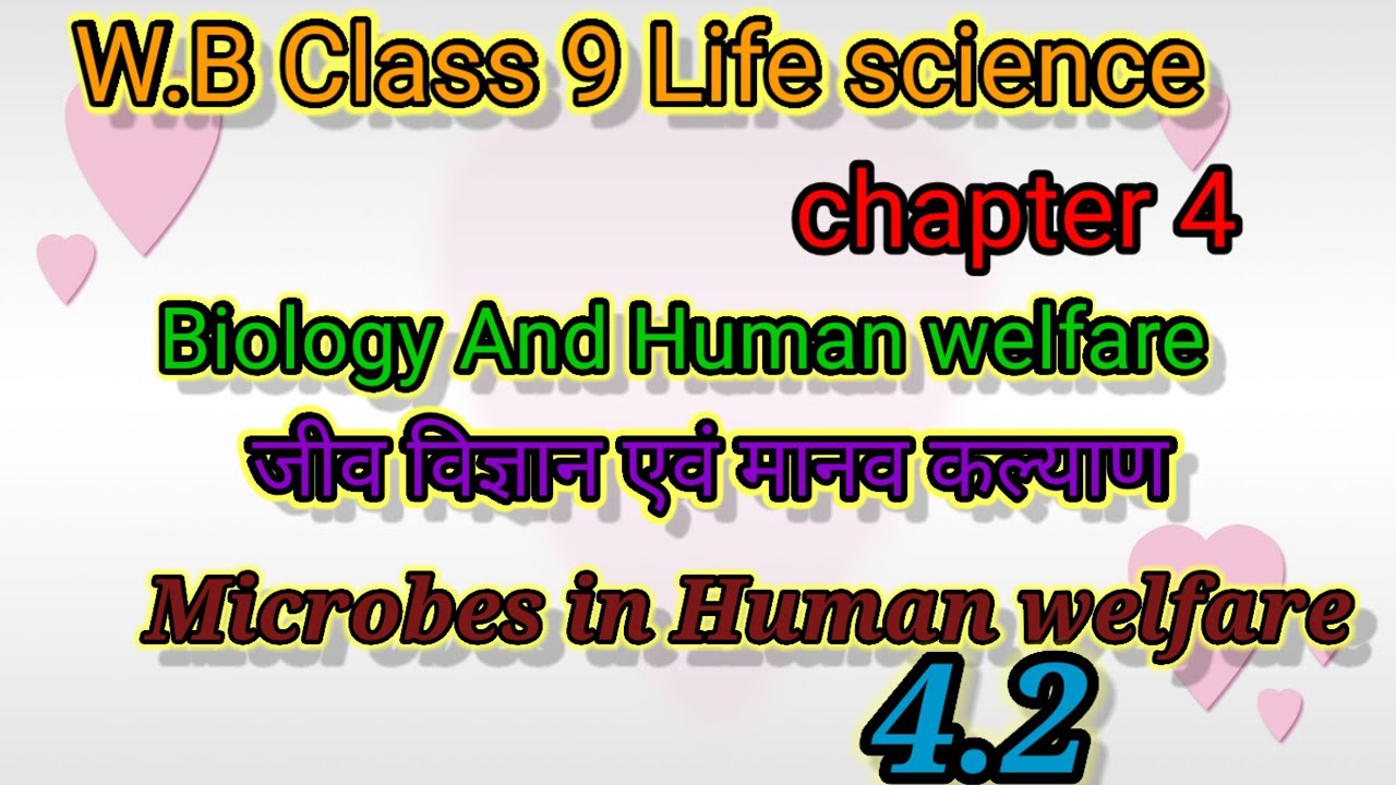 w.B class 9 life science chapter 4.2 - YouTube
