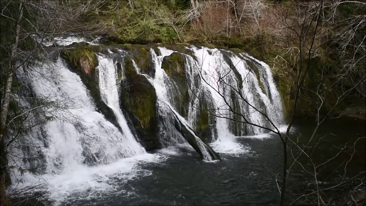 Beaver Falls - Sappho WA - March 7, 2018 - YouTube