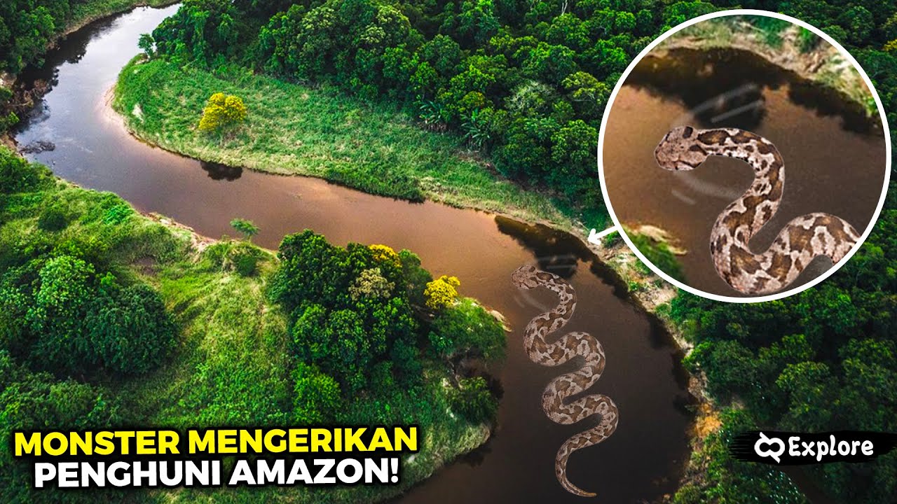 TERUNGKAP! Misteri Mengapa Hutan Amazon Menciptakan Monster Predator ...