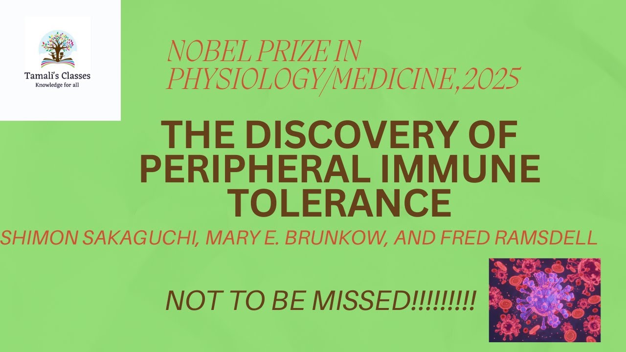 Nobel Prize 2025 in Physiology/| The Discovery of Peripheral Immune ...