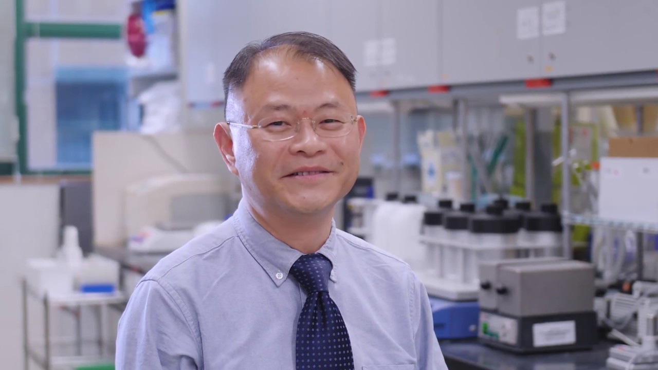 Prof Zhang Ge: President’s Award for Outstanding Performance in ...