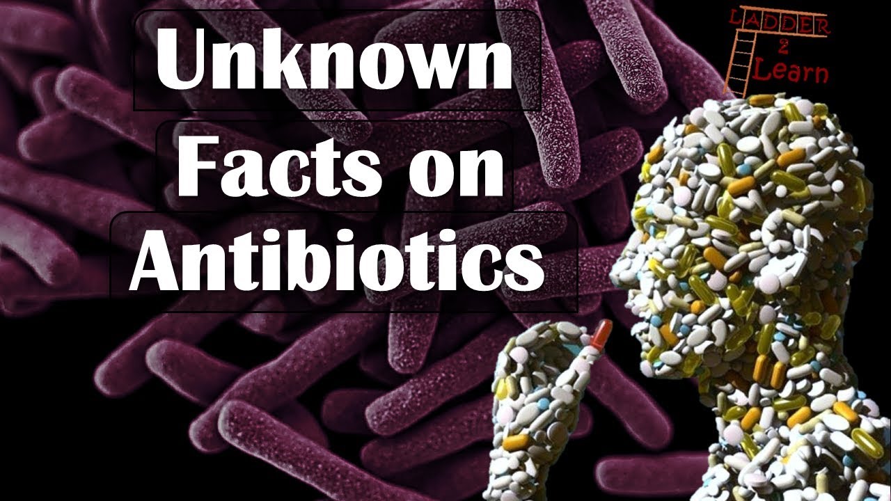 Antibiotics Facts | Unknown Facts about Antibiotics that can Surprise ...