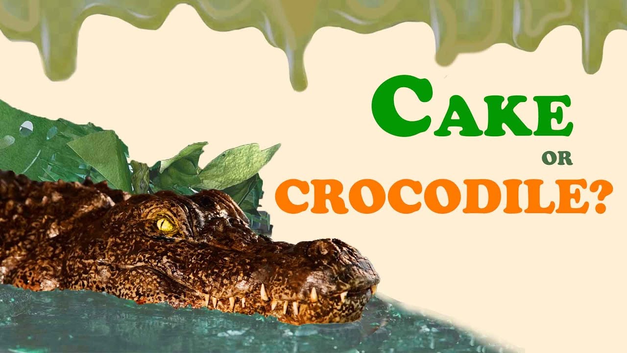 CROCODILE OR CAKE? | PASTA MI TİMSAH MI ? - YouTube