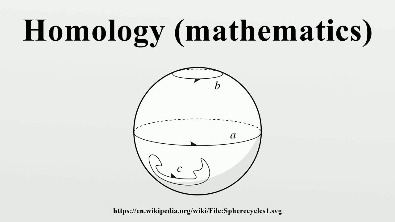 Homology (mathematics) - YouTube