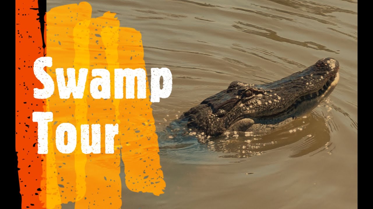 Swamp Tour with Cajun Encounters near New Orleans, LA - YouTube