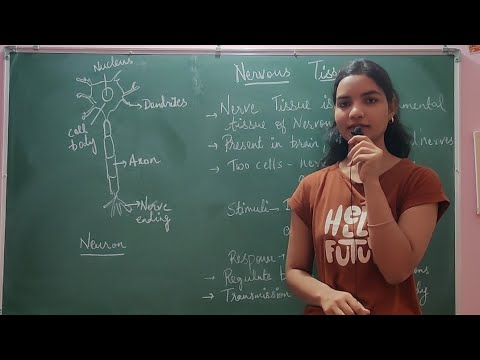 TYPE OF TISSUES : NERVOUS TISSUE |CLASS 9| TISSUE| SCIENCE |BIOLOGY ...