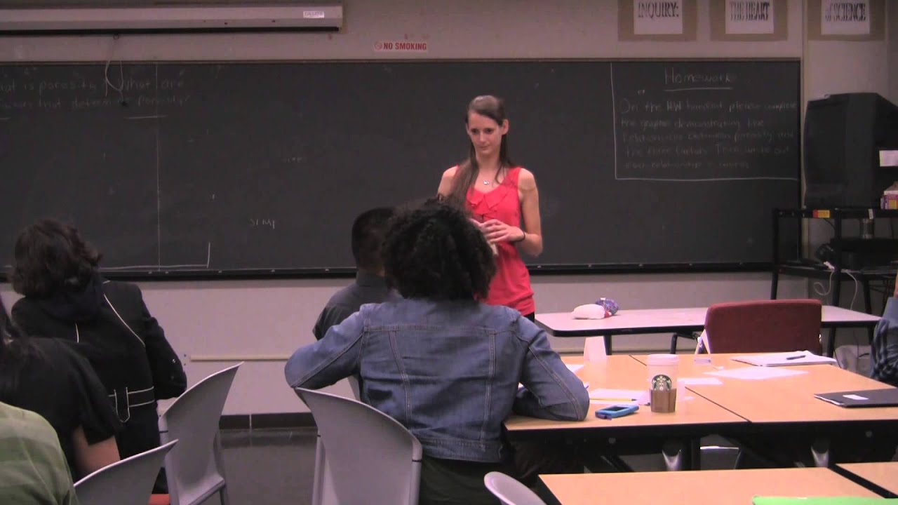 Fun Assessment - YouTube