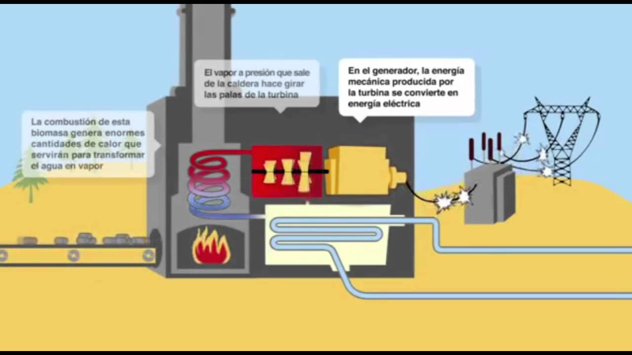 Como funciona una central eléctrica de Biomasa-Educación Tecnológica ...