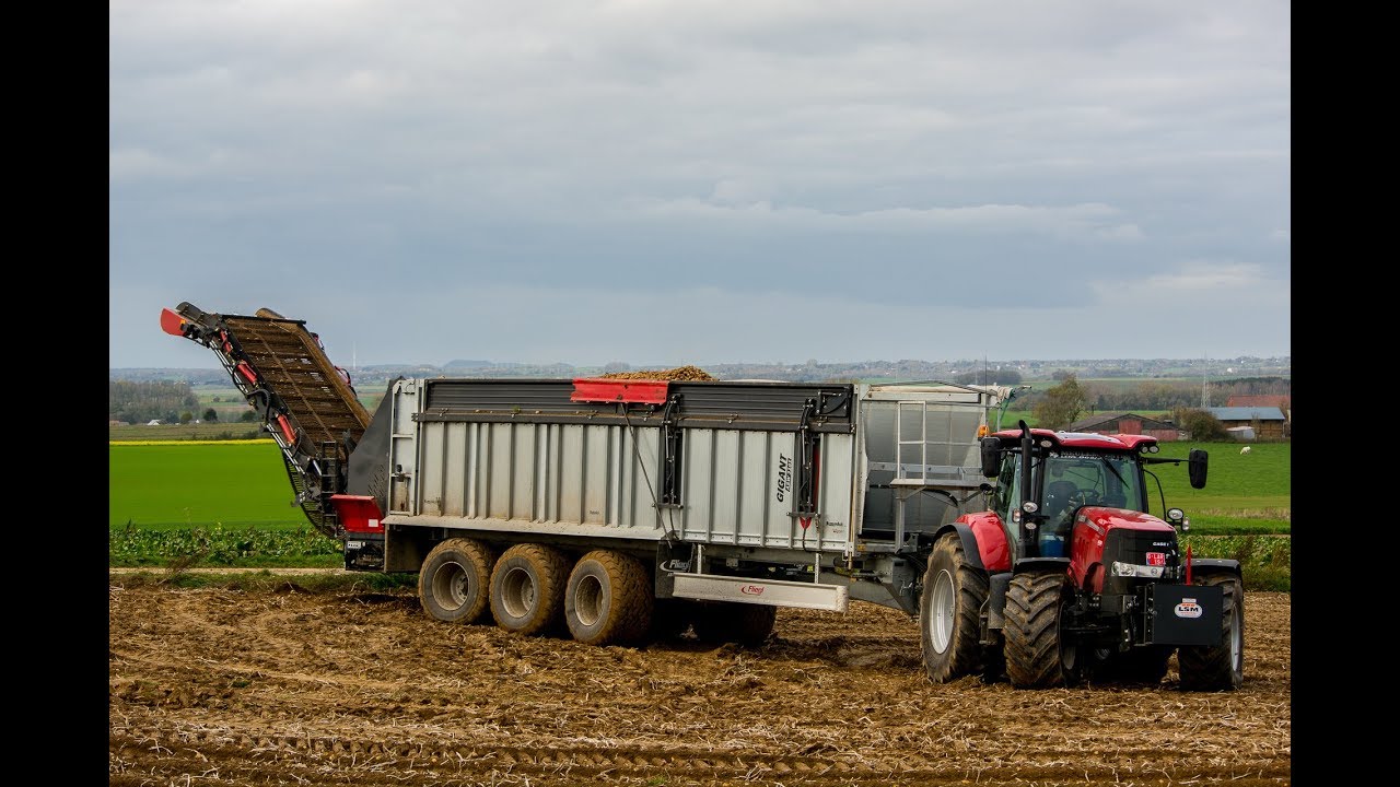 PDT | Grimme Varitron 270 | Case IH Puma 220 CVX & Fliegl Gigant ASW ...