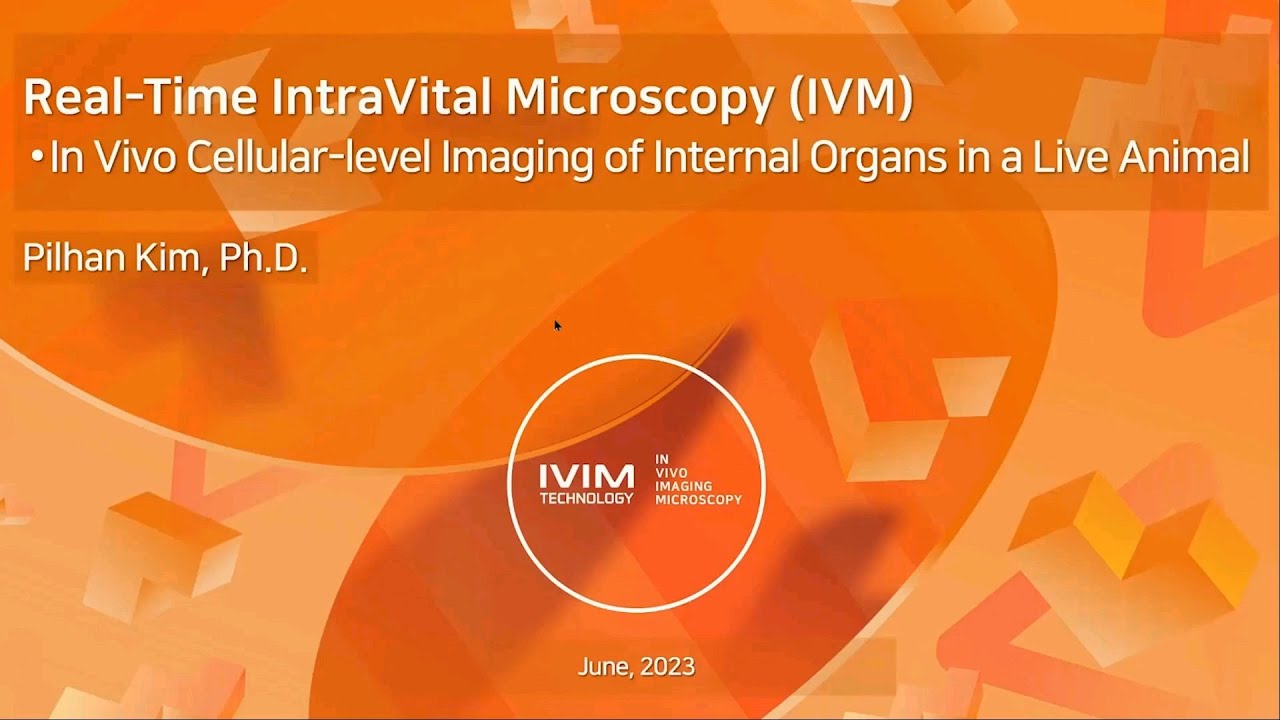 Real-time IntraVital Microscopy: In Vivo Cellular-level Imaging of ...