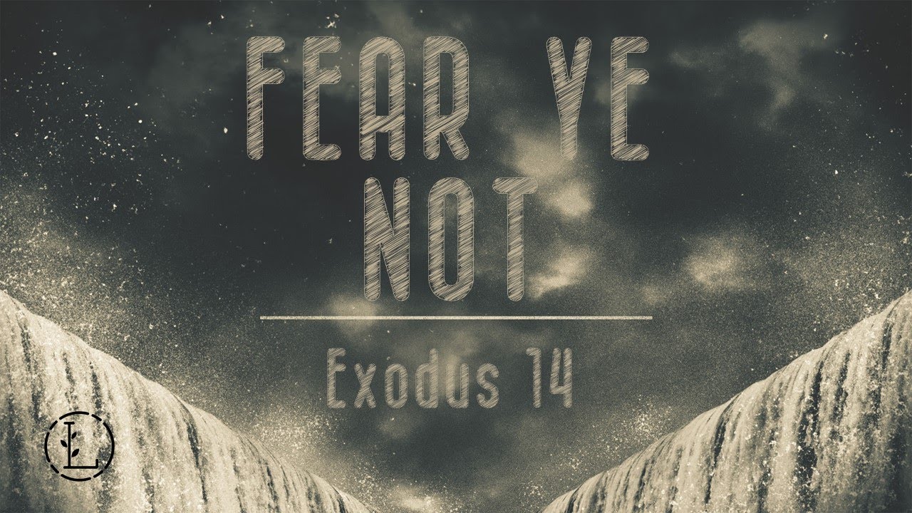 "Fear Ye Not" - YouTube