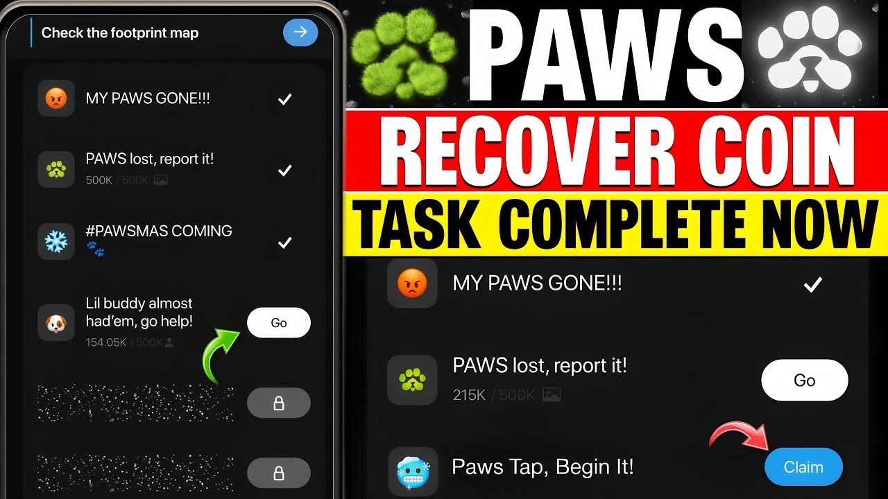 Paws Lost? Report it FAST in 2024! - YouTube