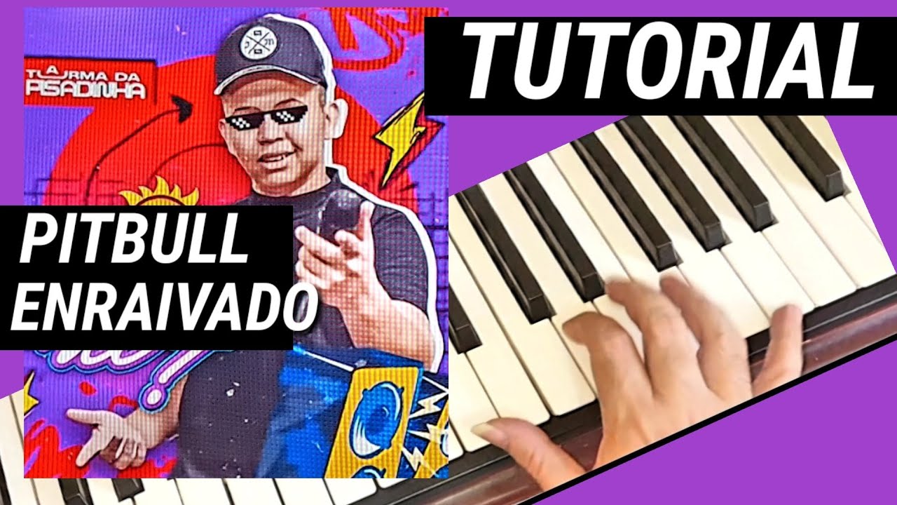 TUTORIAL PITBULL ENRAIVADO (VERSÃO TURMA DA PISADINHA) vídeo aula - YouTube