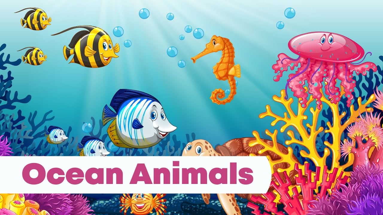 Learn Sea Animals Name for Kids - Ocean Fish & Sea Creatures - Types of ...