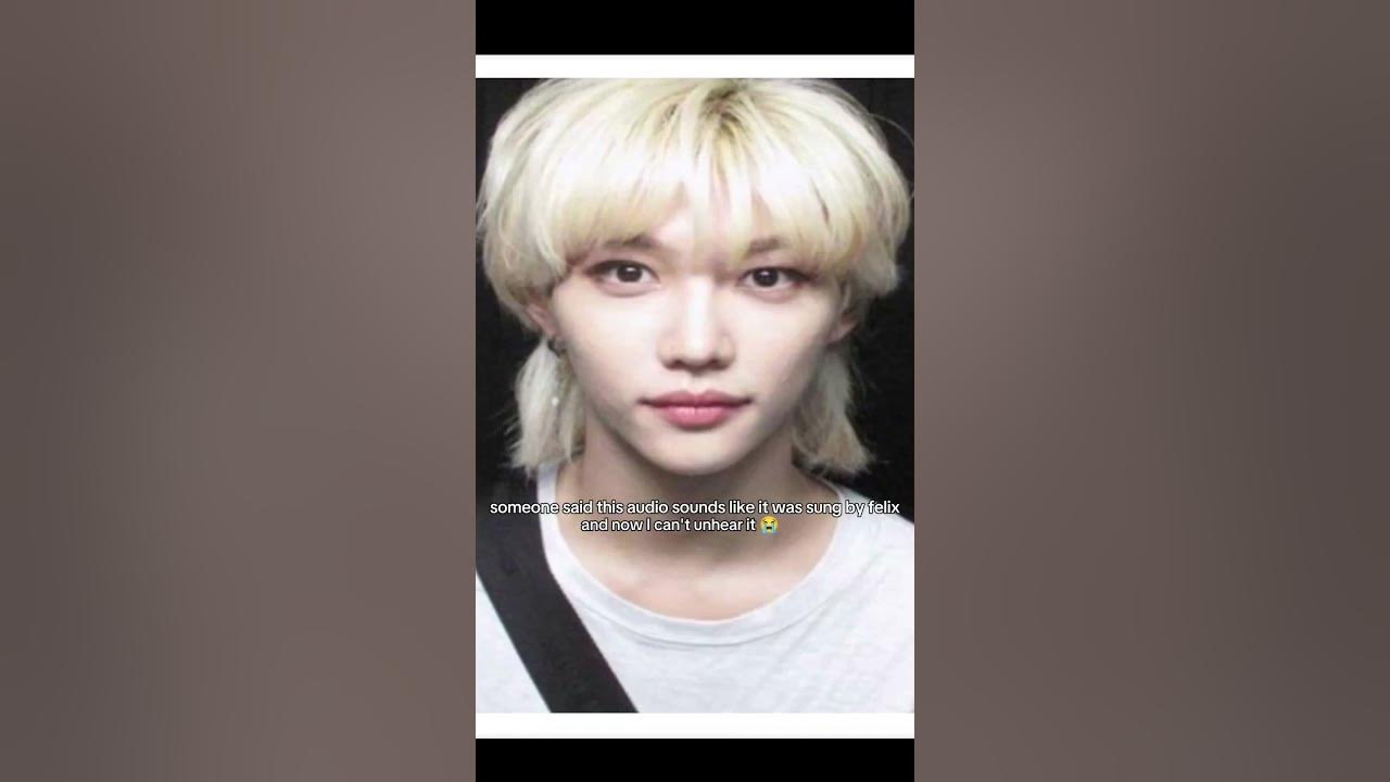 lowkey does kinda sound like him tho ππ #leefelix #straykids #kpopmemes ... lowkey does kinda sound like him tho ππ #leefelix #straykids #kpopmemes ...