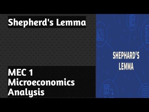 Shepherd's Lemma MEC-101 Microeconomics Analysis TEE Asked Question ...