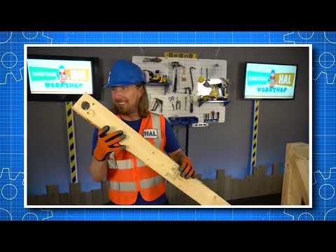 Handyman Hal Song | I Got a Job for You | Fun Music for Kids - YouTube