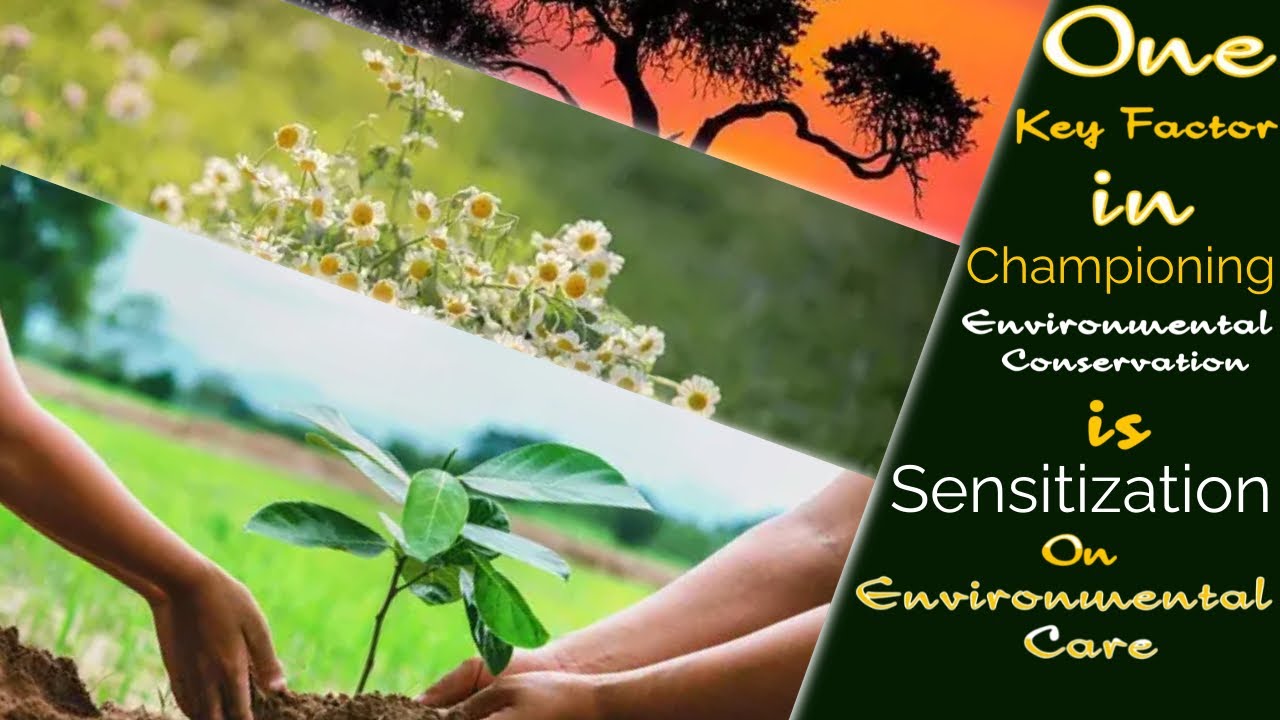 SENSITIZATION CAN BE ONE OF THE MOST EFFECTIVE WAYS TO CHAMPION ...