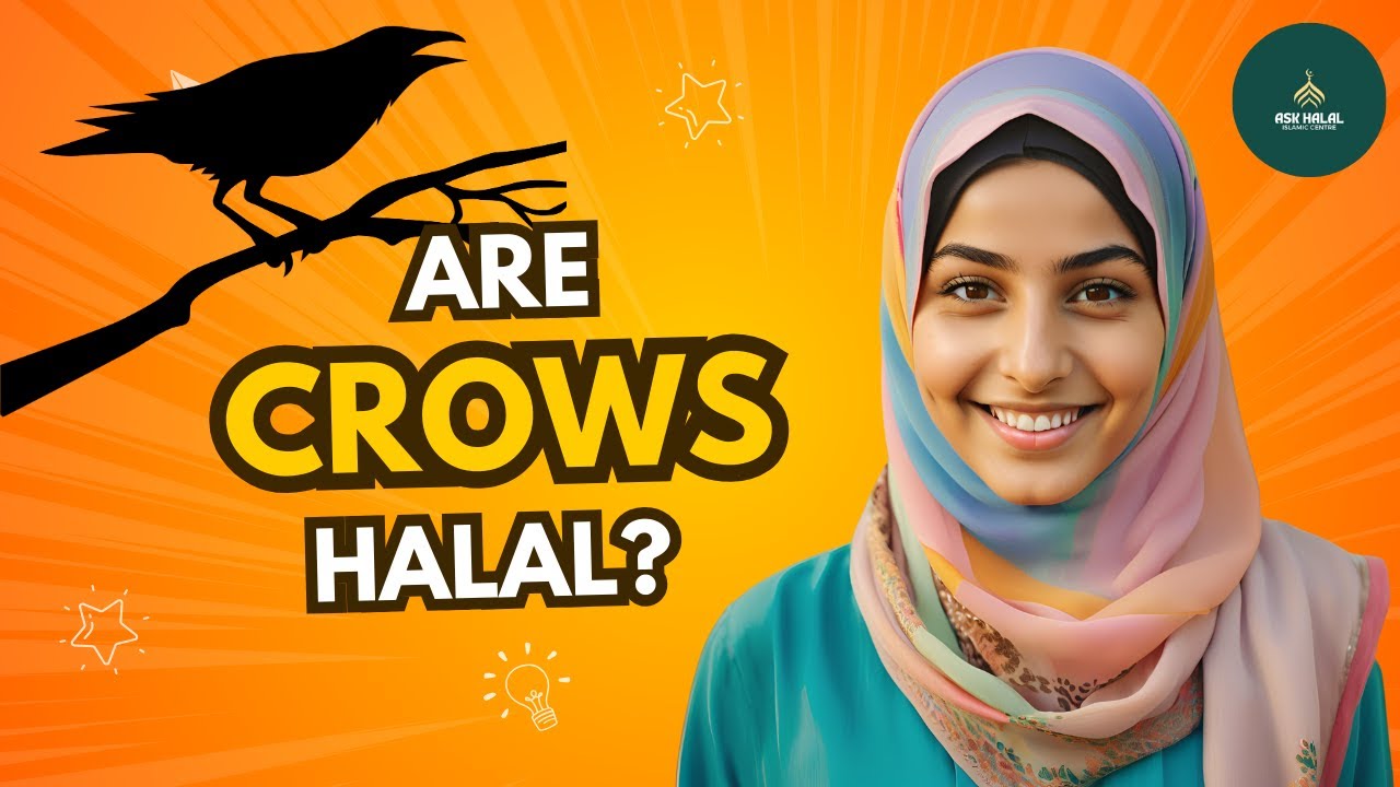 Are Crows Halal? | Halal Food Guide | Ask Halal #halalfood - YouTube